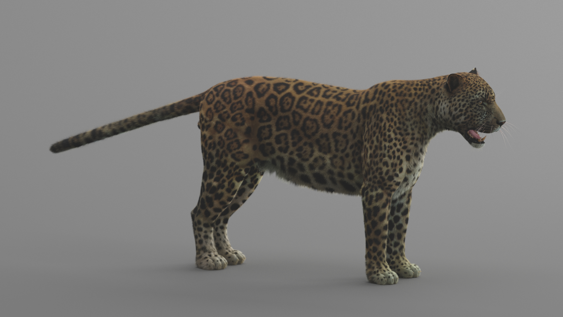 3D Modeled Leopard Model - TurboSquid 1522474