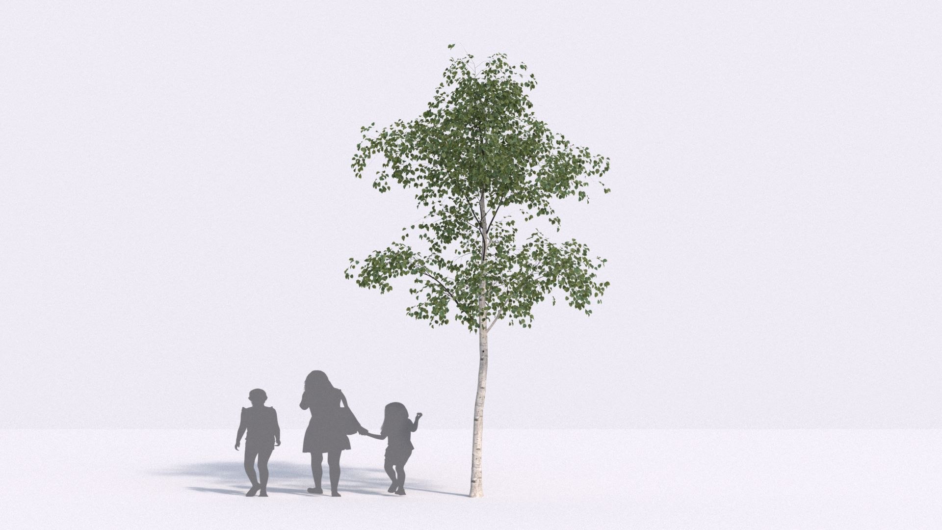 Birch Tree 3D Model - TurboSquid 1478750