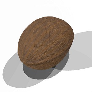 Free 3D Coconut Models - Available For Download On TurboSquid