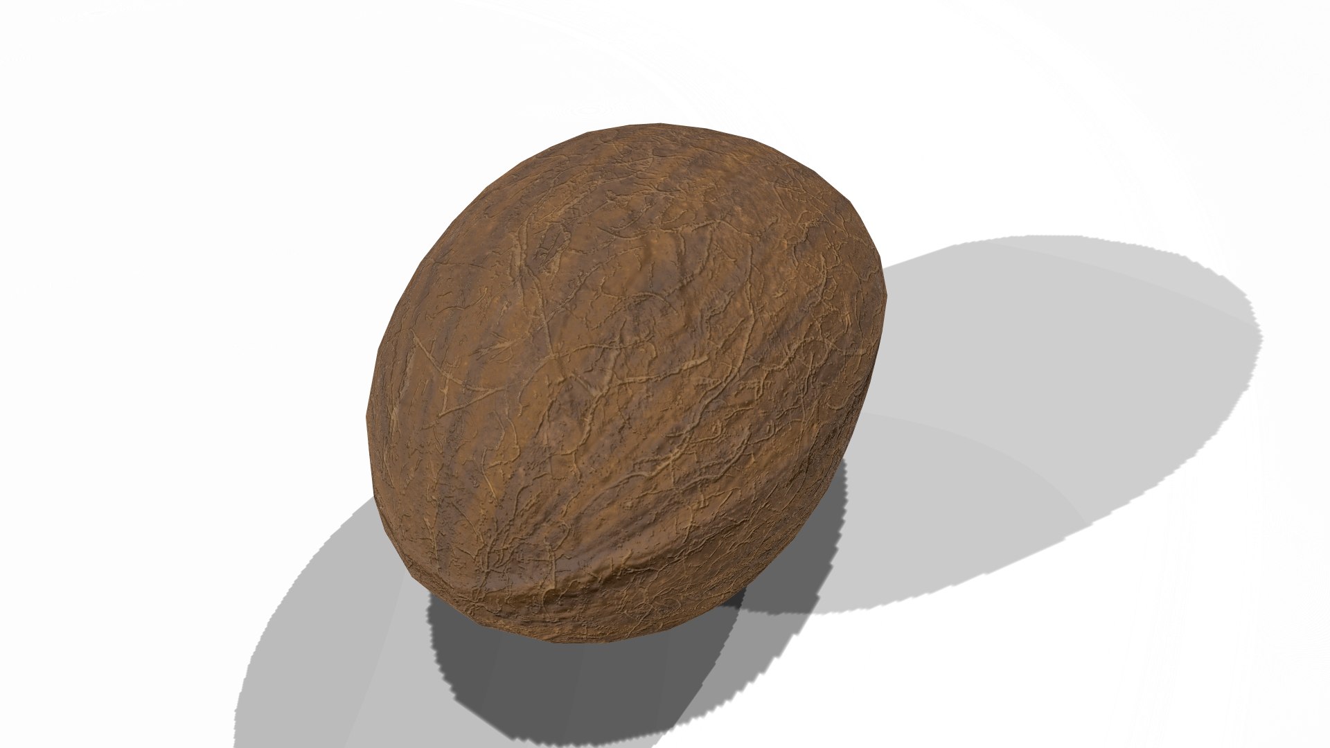 Free 3D Model Coconut - TurboSquid 2052199