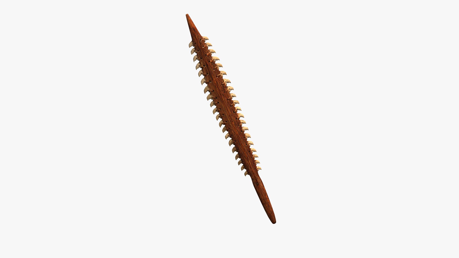 3D Polynesian Shark Tooth Sword - TurboSquid 1454607