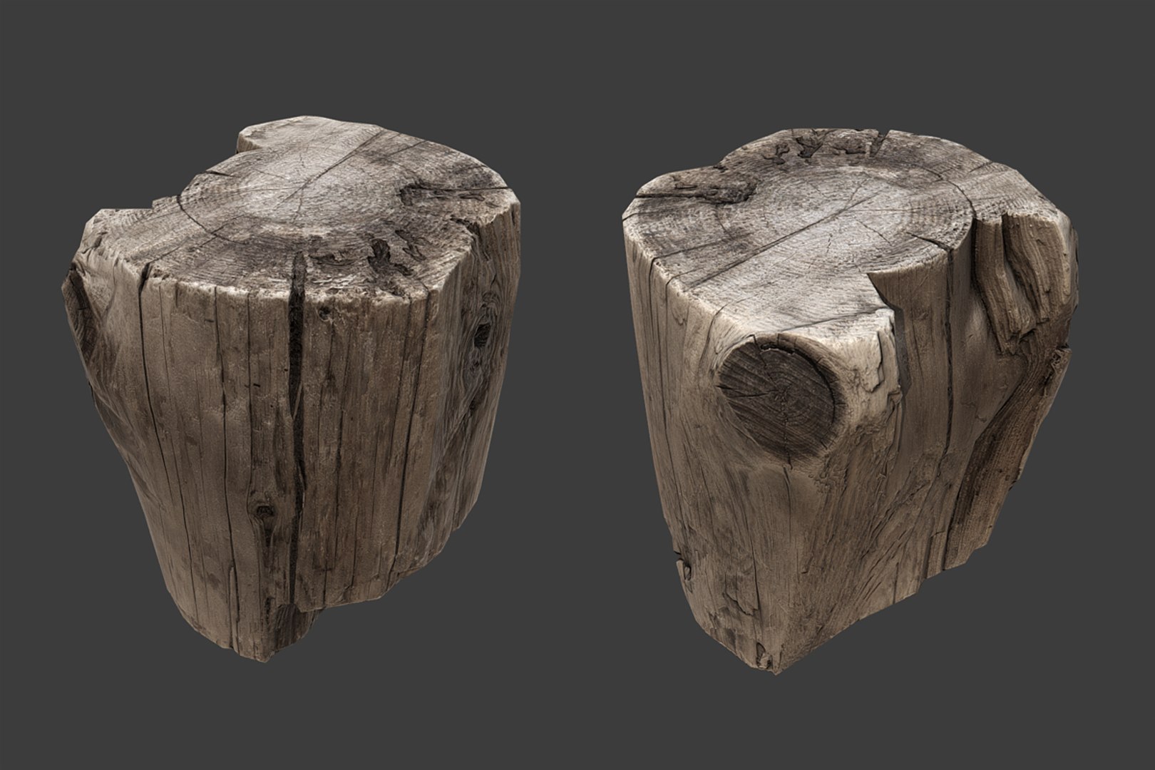 Stump 3D Model - TurboSquid 1191807
