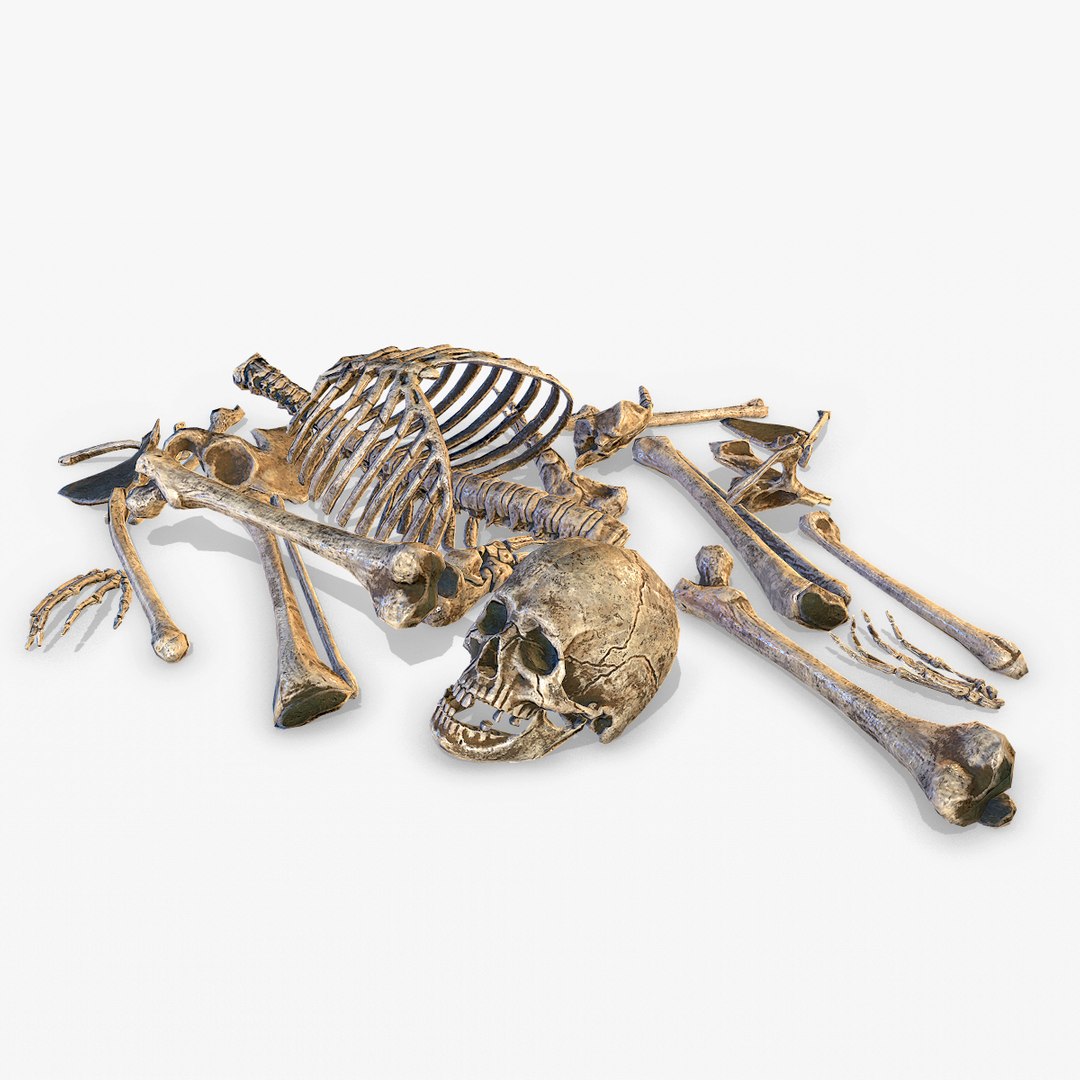 3D Old Human Bones Pbr Model - TurboSquid 1327819