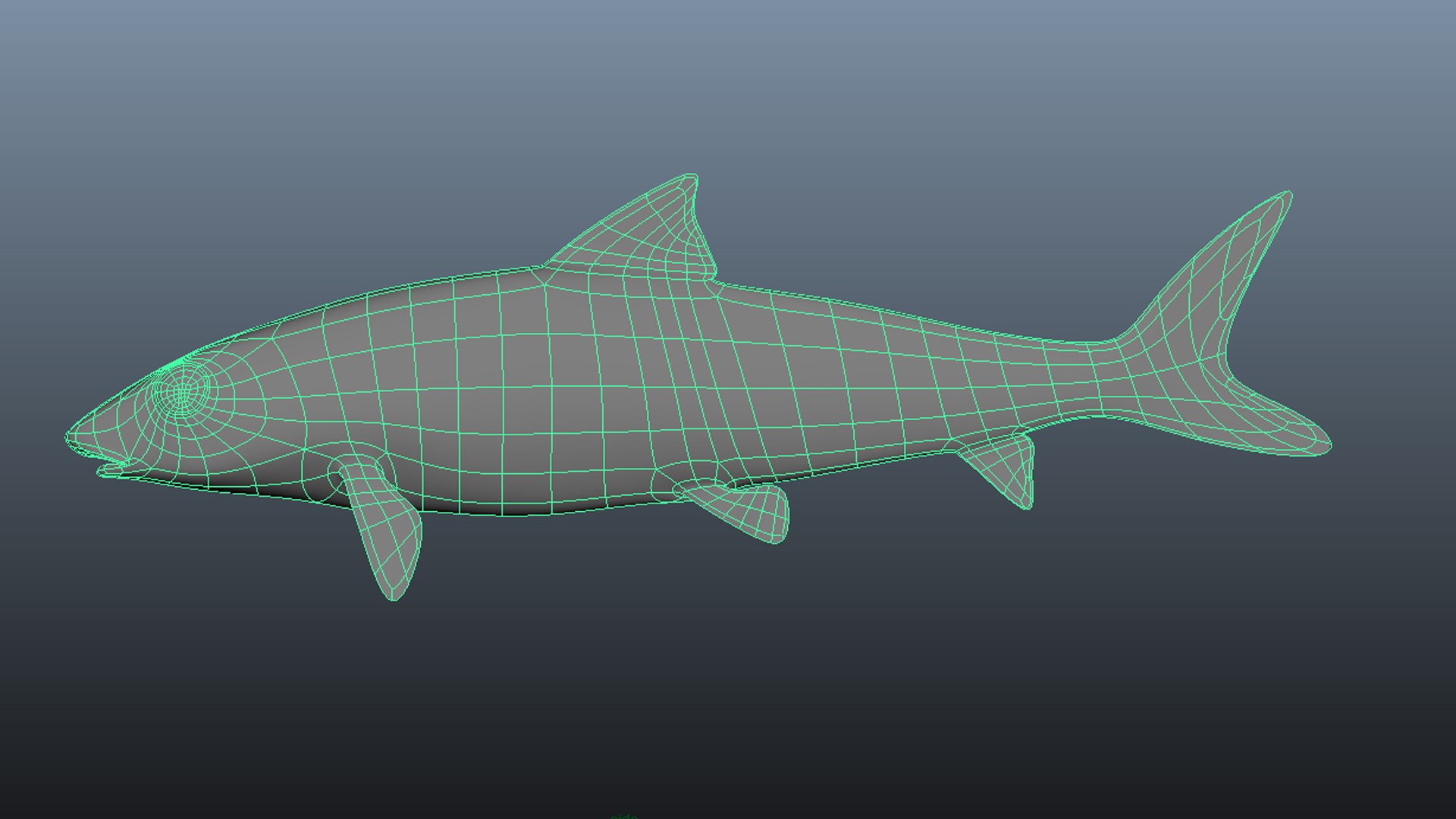 3D Bonefish Collection - TurboSquid 1815784