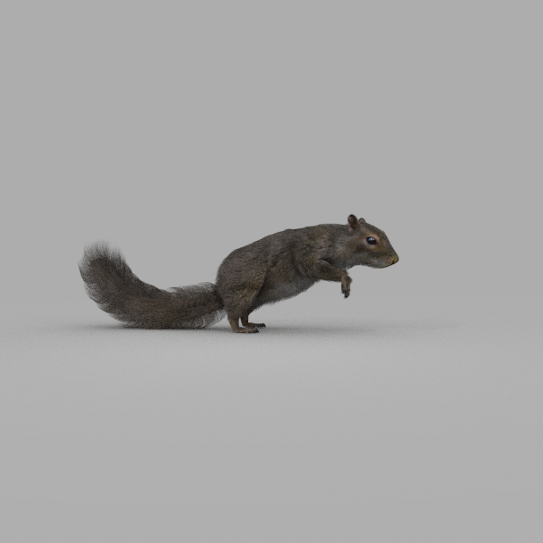 tree squirrel fbx