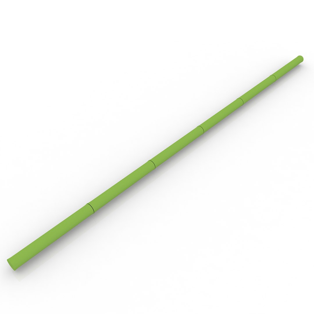Free Bamboo Stem 3d Model