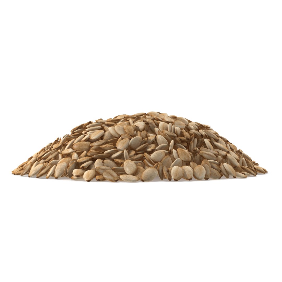 Sesame Seeds 3D Model - TurboSquid 2049952