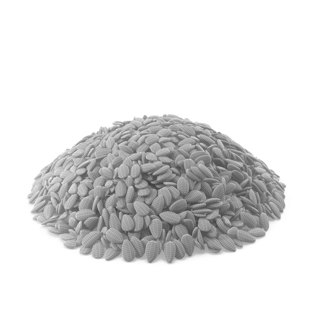 Sesame Seeds 3D Model - TurboSquid 2049952