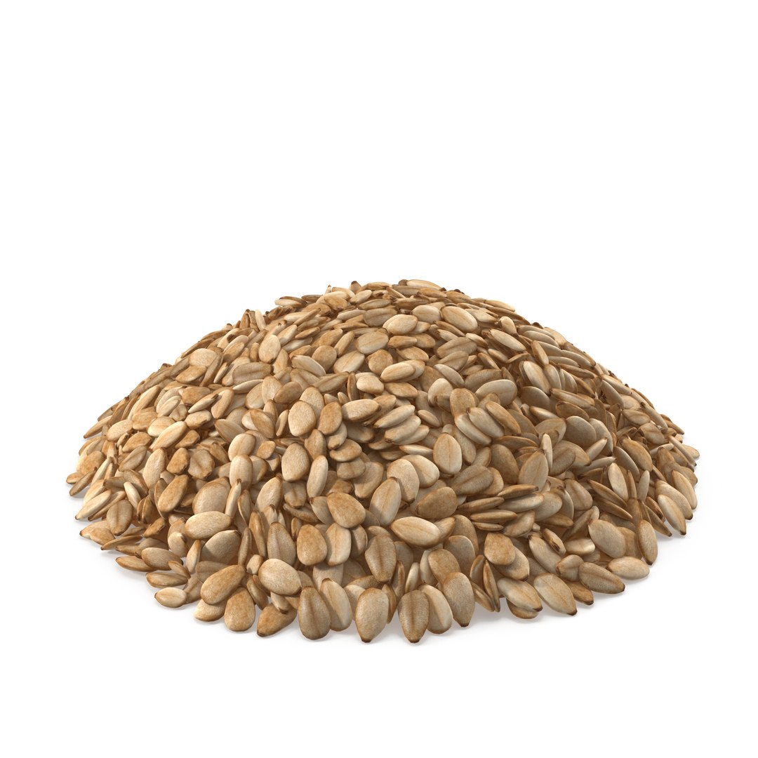 Sesame Seeds 3D Model - TurboSquid 2049952