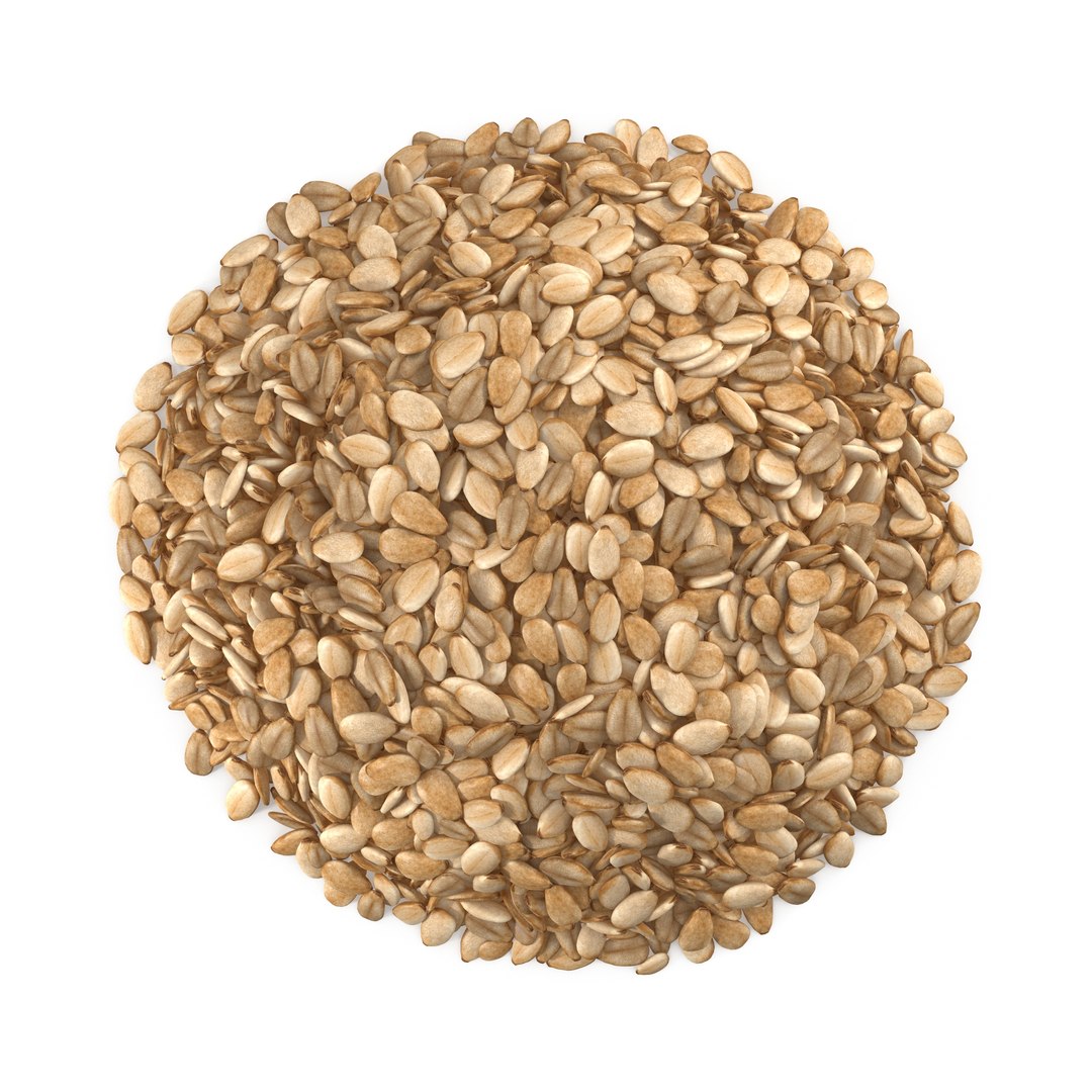 Sesame Seeds 3D Model - TurboSquid 2049952