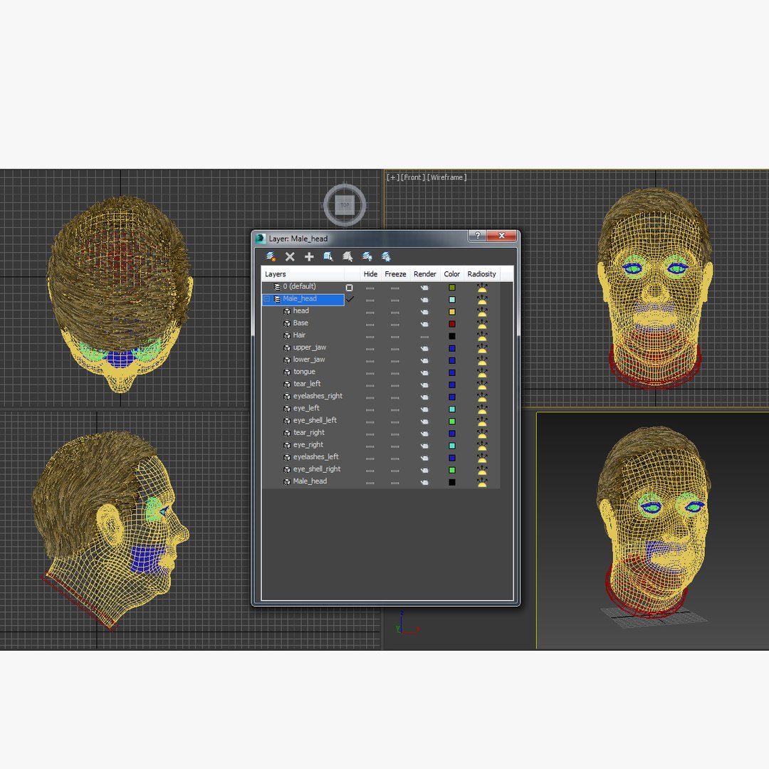 male head 3d max