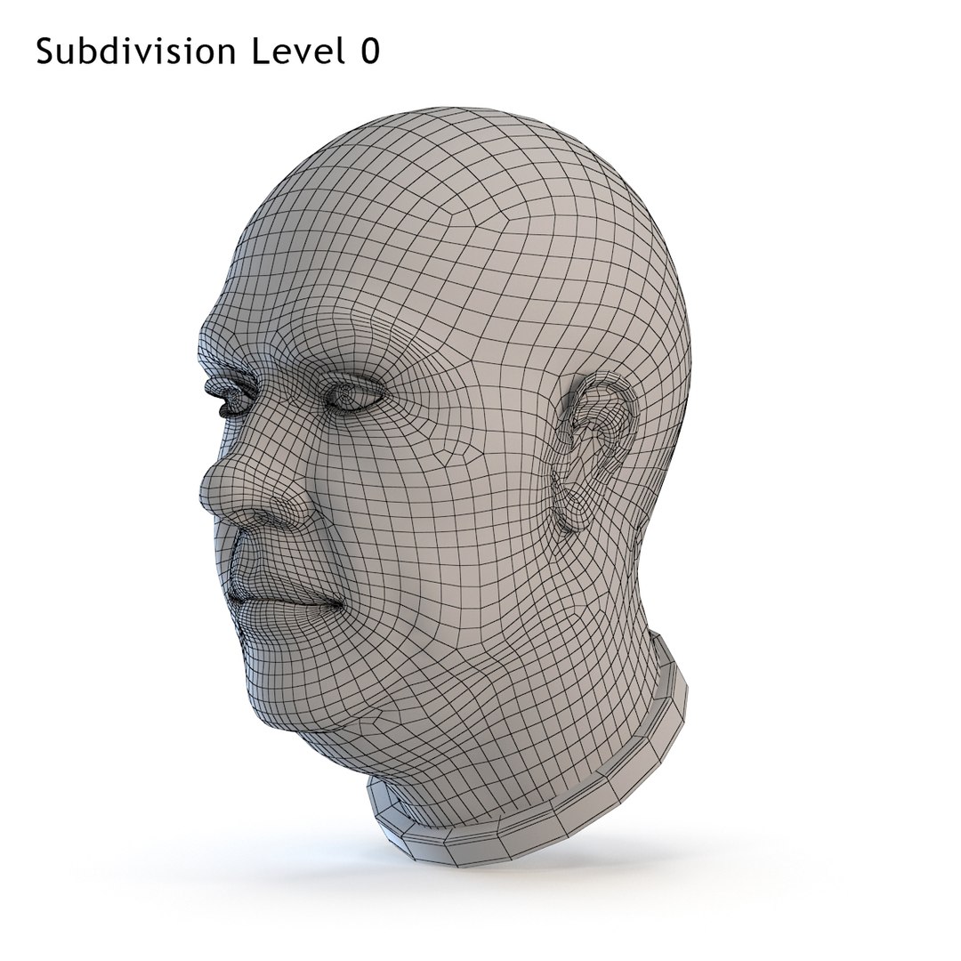 male head 3d max