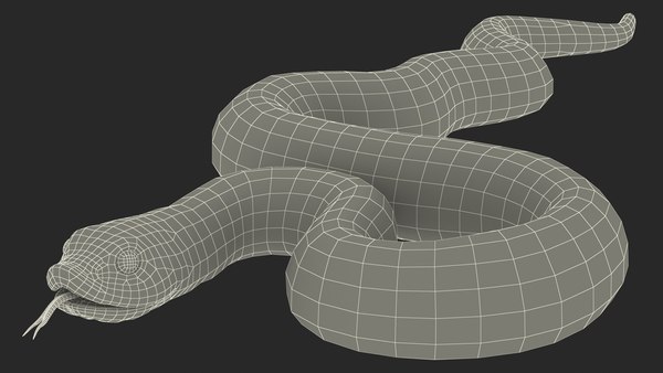 3D coiled red hognose snake model - TurboSquid 1488232