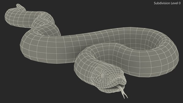 3D coiled red hognose snake model - TurboSquid 1488232