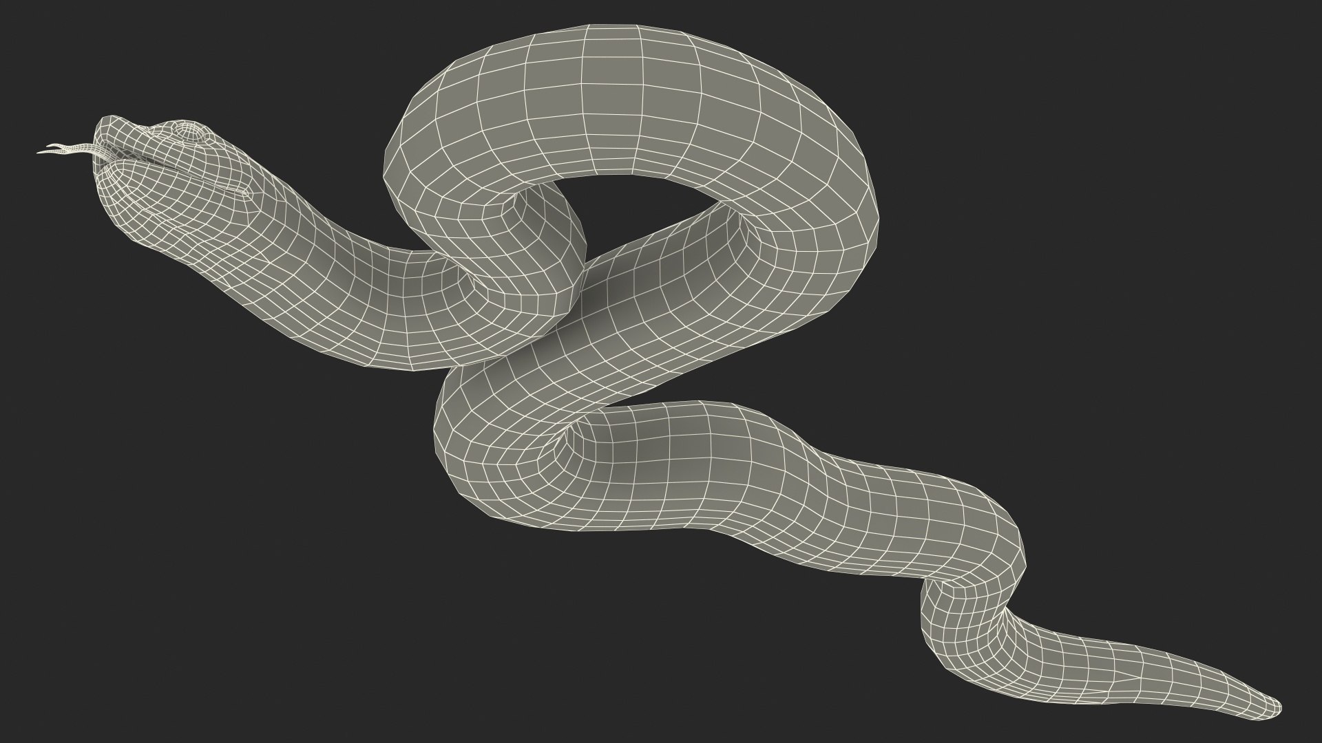 3D coiled red hognose snake model - TurboSquid 1488232