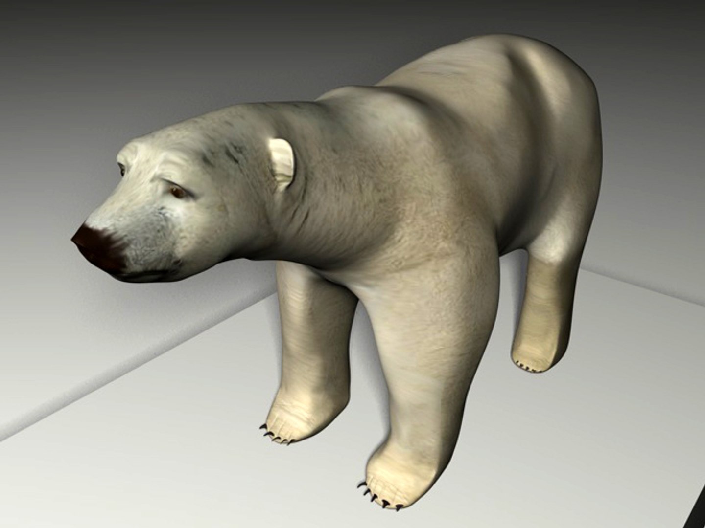 white bear 3ds