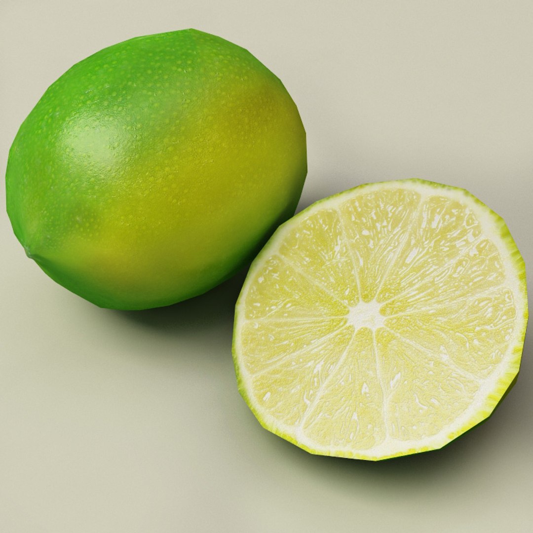 3d Limes Modelled