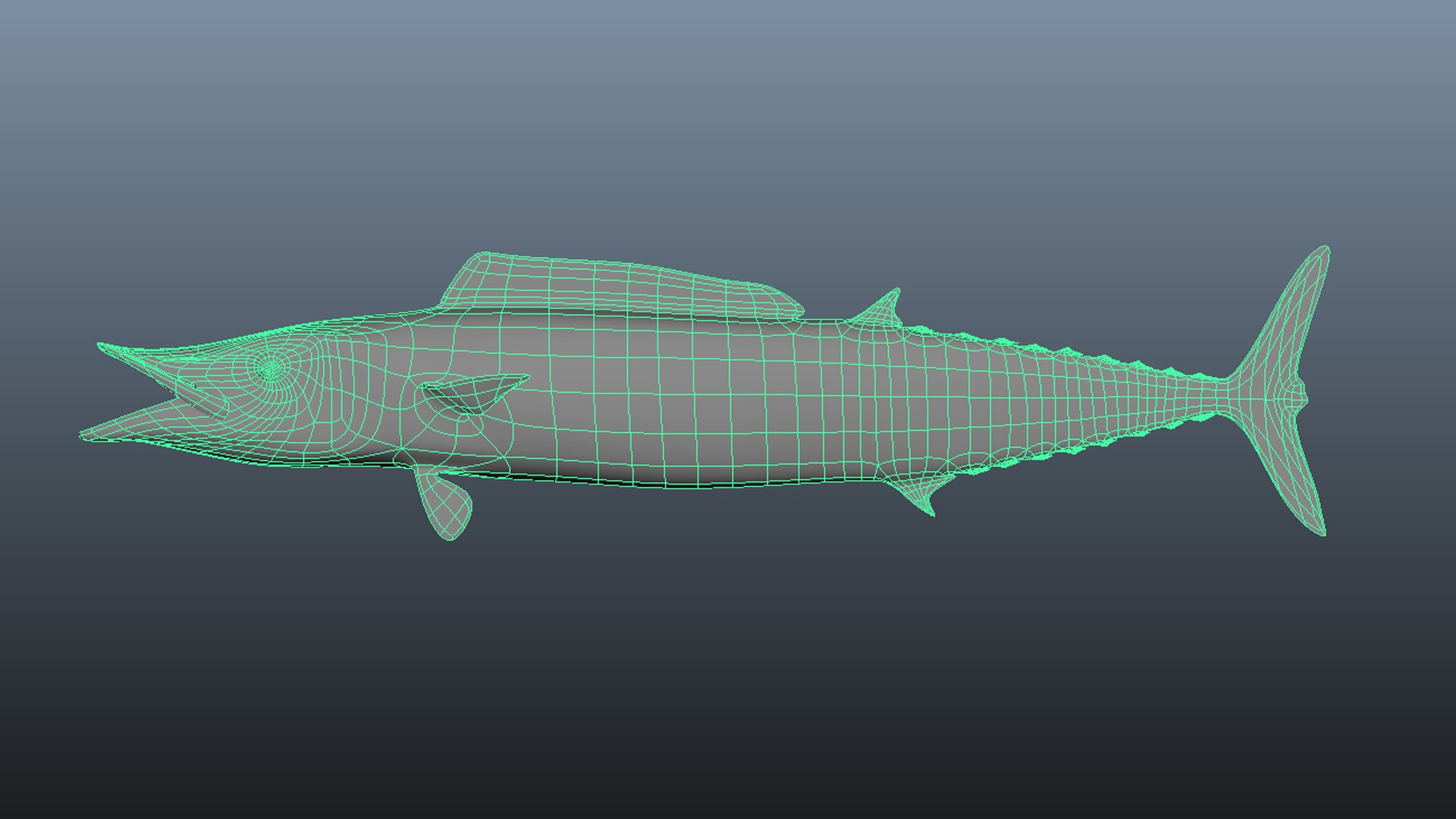 3D Saltwater Fish Collection 26 - TurboSquid 1837802