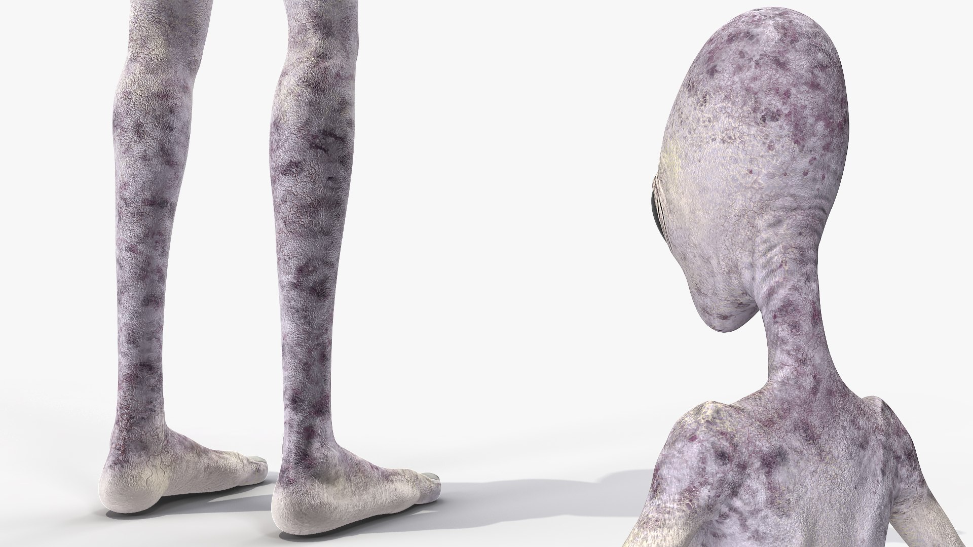 Humanoid Alien Creature 3D Model - TurboSquid 1628938