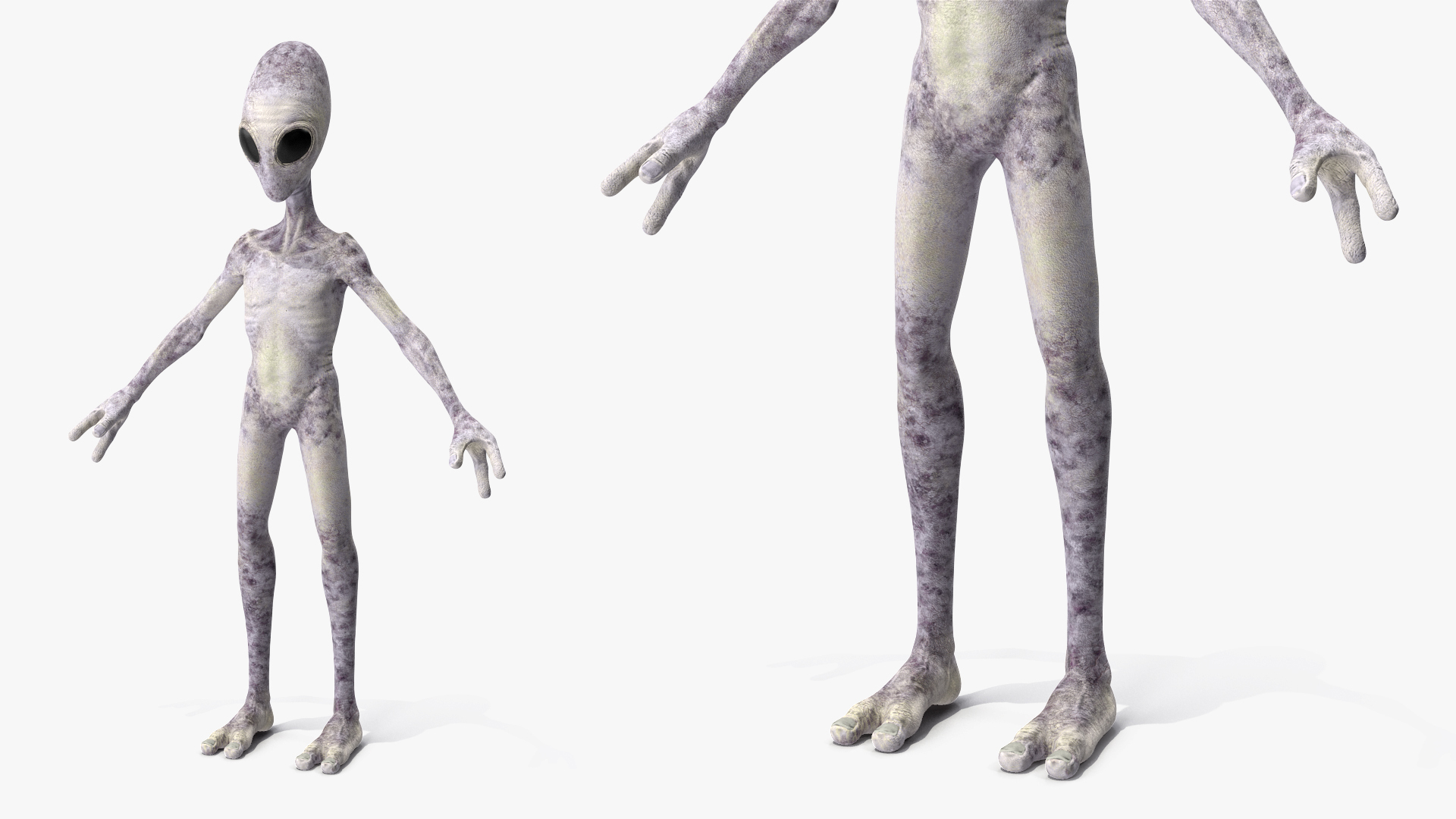 Humanoid Alien Creature 3D Model - TurboSquid 1628938