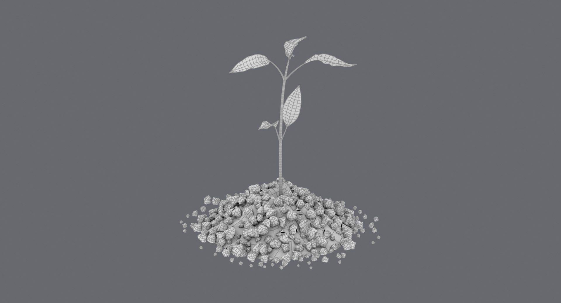 Plant Sprout Max