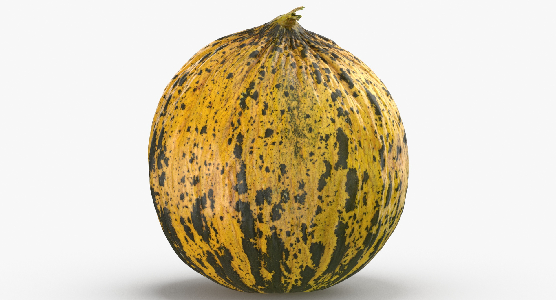 3D Melons Collection 02 - 3 models model - TurboSquid 1794554