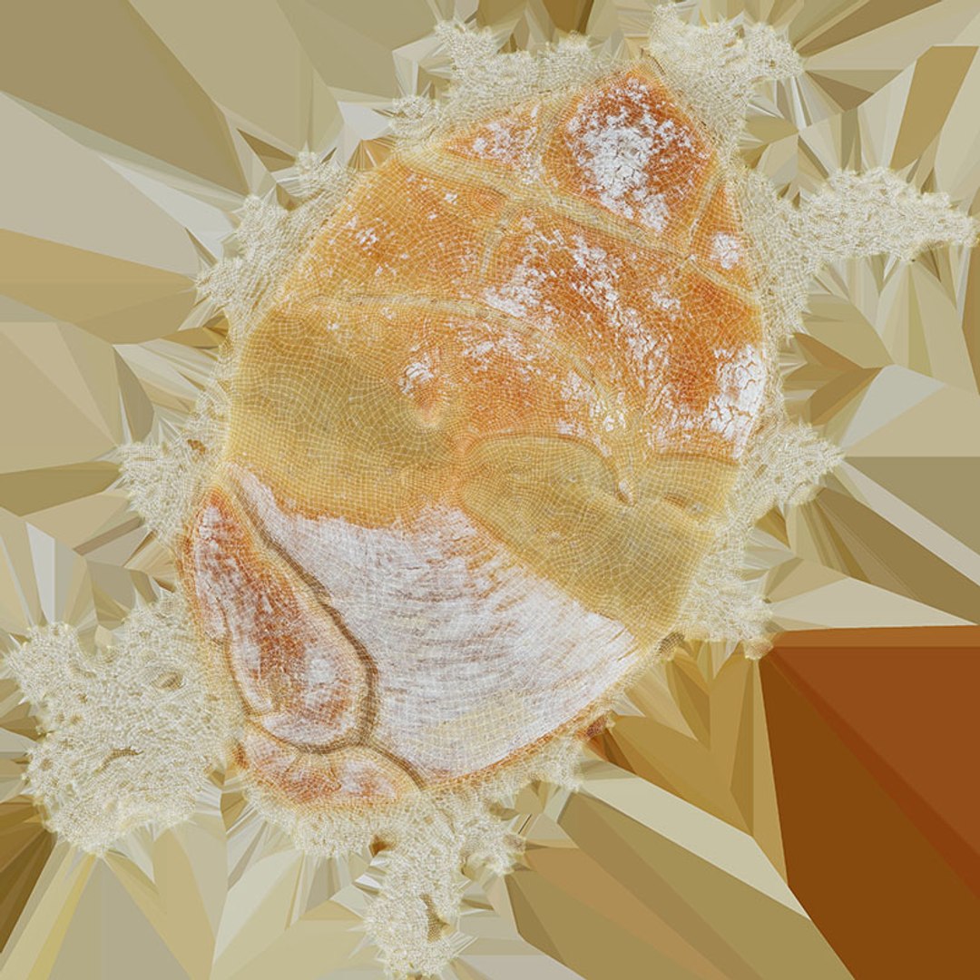Bread Square Slice 3D - TurboSquid 2320408