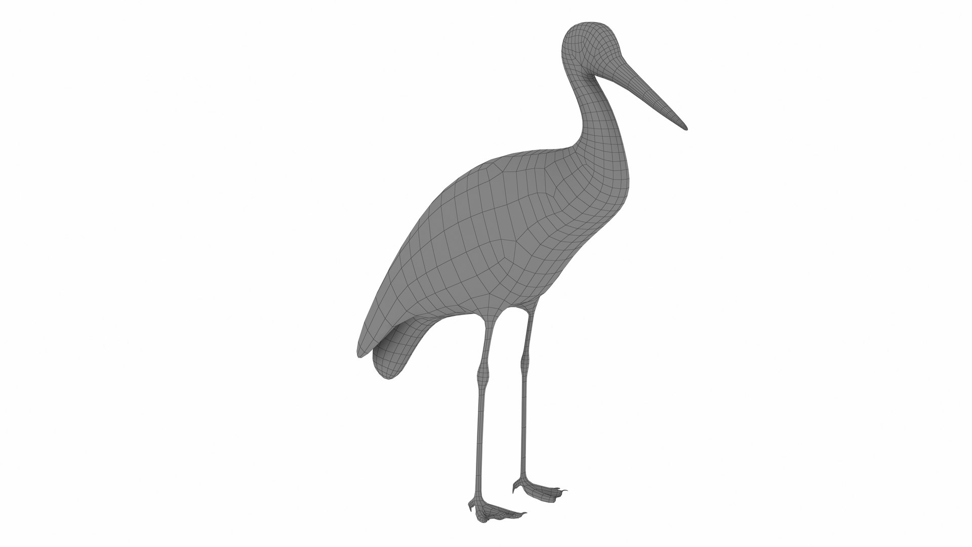 3D Stork Model - TurboSquid 2338992