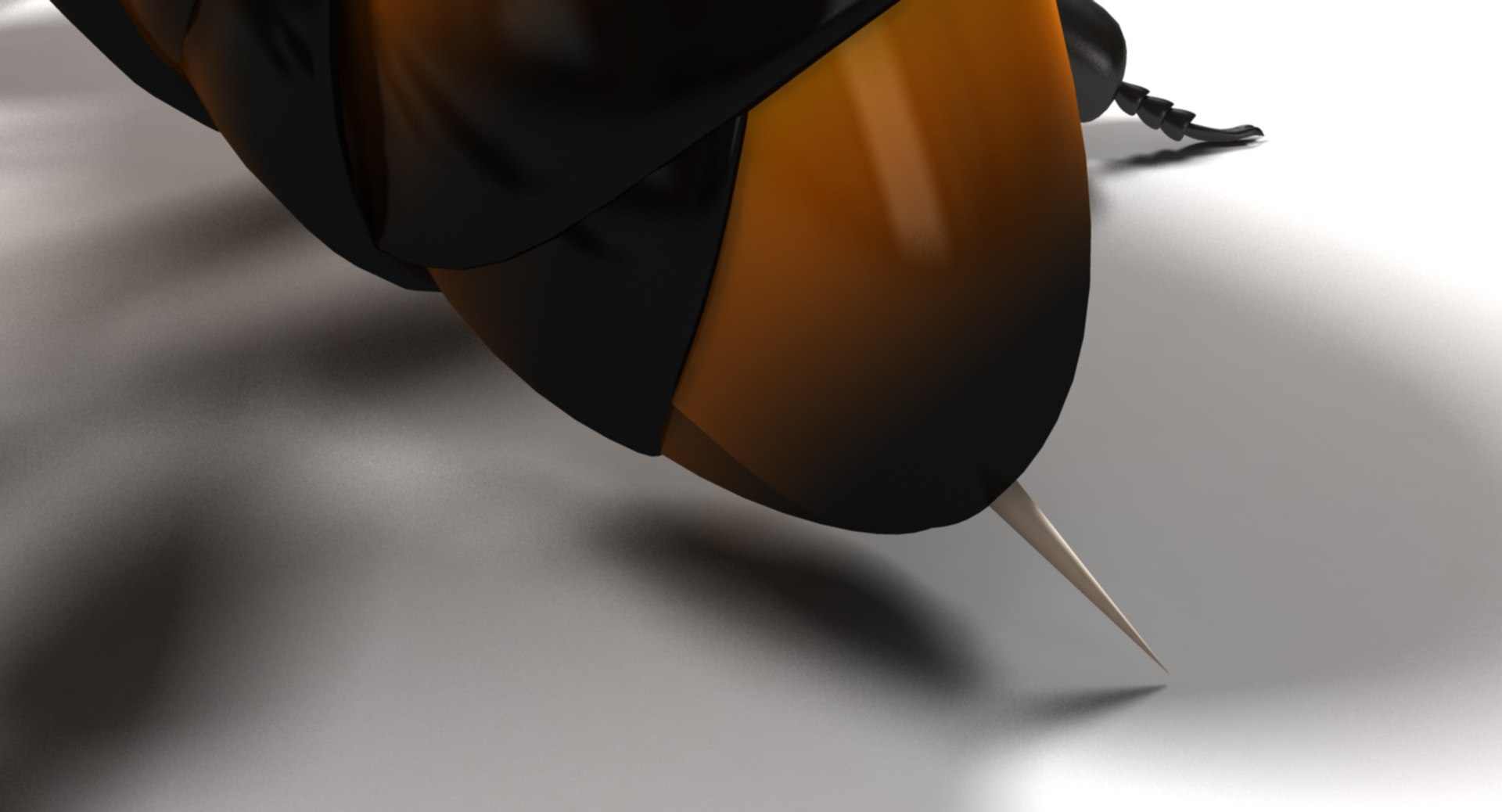 3d Honey Bee Model