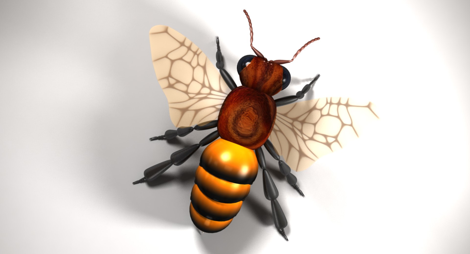 3d Honey Bee Model