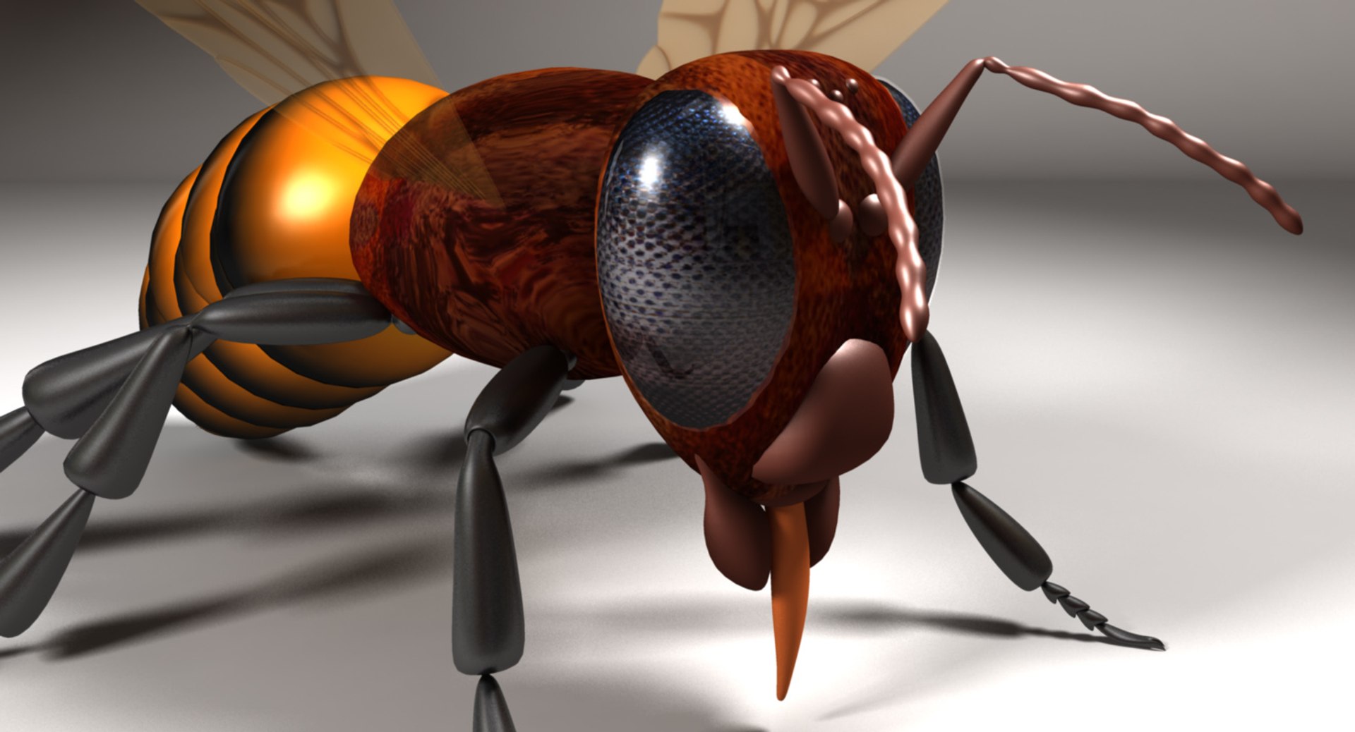 3d Honey Bee Model