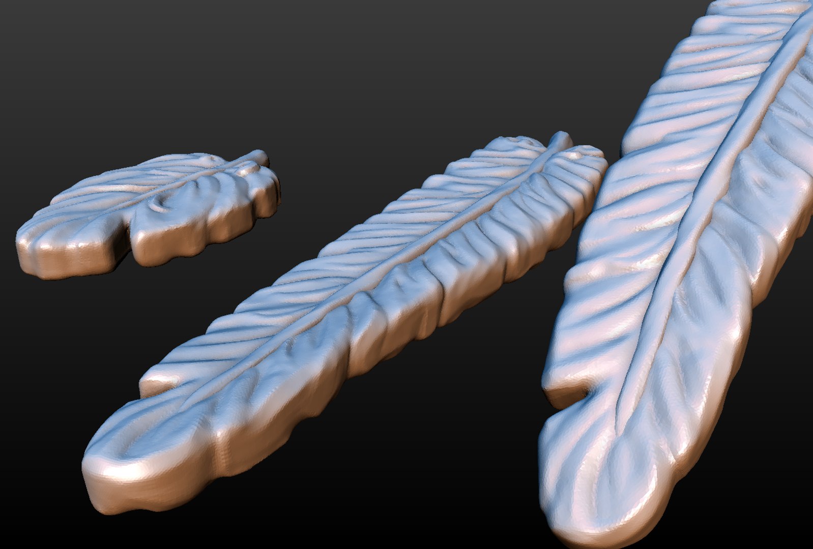 Feathers 3D model - TurboSquid 1203117