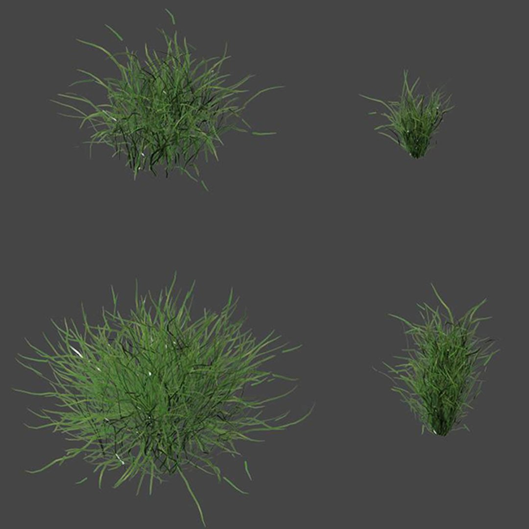 Forest Grass 03 Model - TurboSquid 1893750
