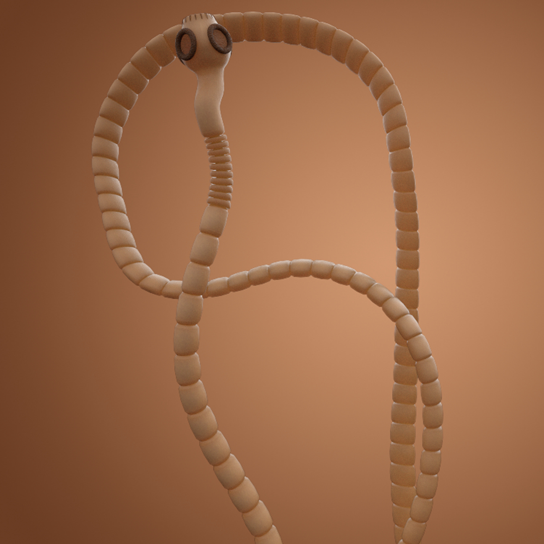 Worm tapeworm model - TurboSquid 1681791
