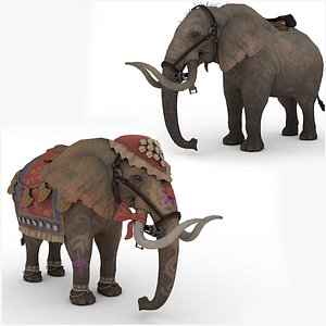 3D Elephant Rig Models - Browse & Download Formats - TurboSquid