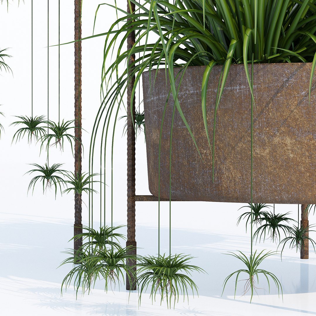 3D Vertical Garden Model - TurboSquid 1634235