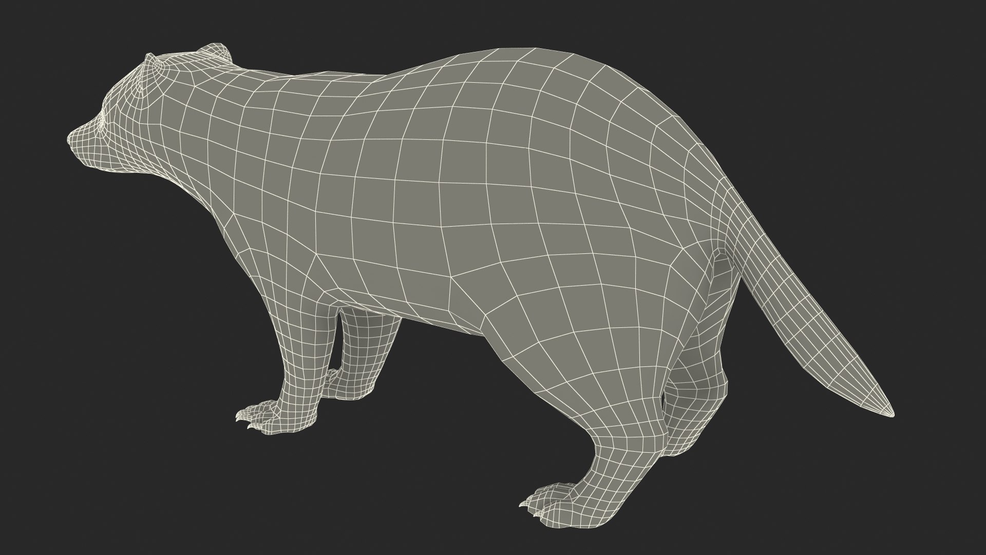 Badger Rigged 3D model - TurboSquid 2068976