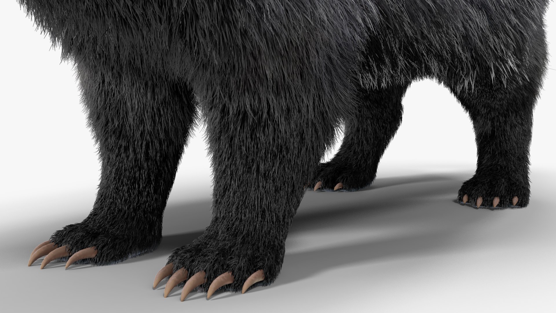 Badger Rigged 3D model - TurboSquid 2068976