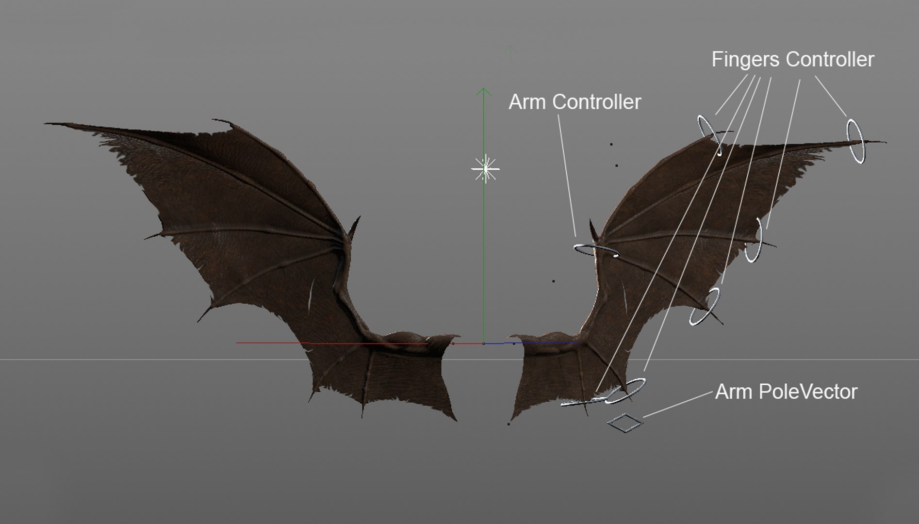 Bat Wings 3D - TurboSquid 1196635