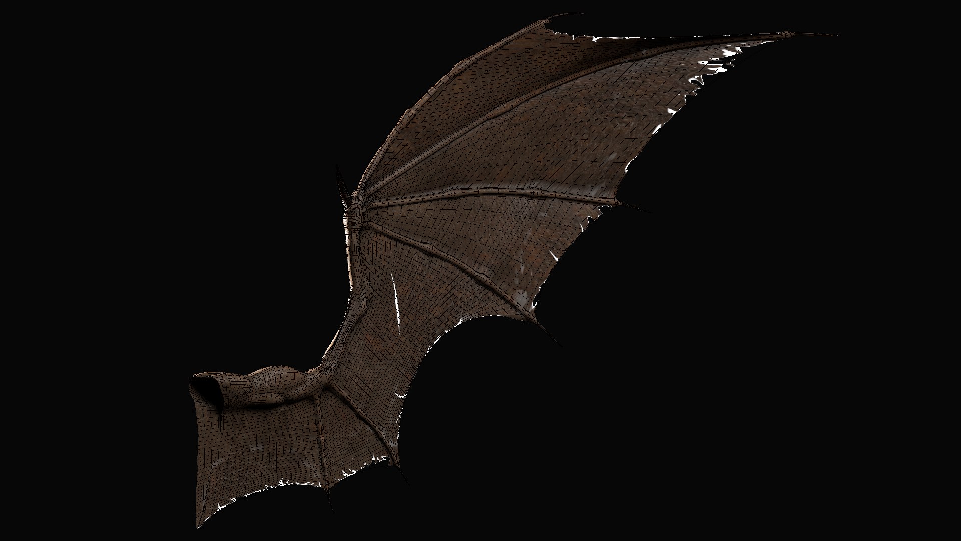 Bat Wings 3D - TurboSquid 1196635