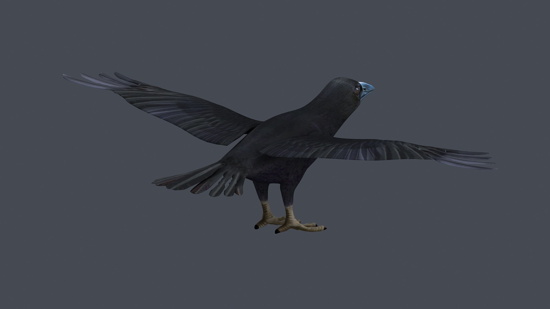 Crow Raven Black Bird Black Crow Raven Corvus Animal Bird Model ...