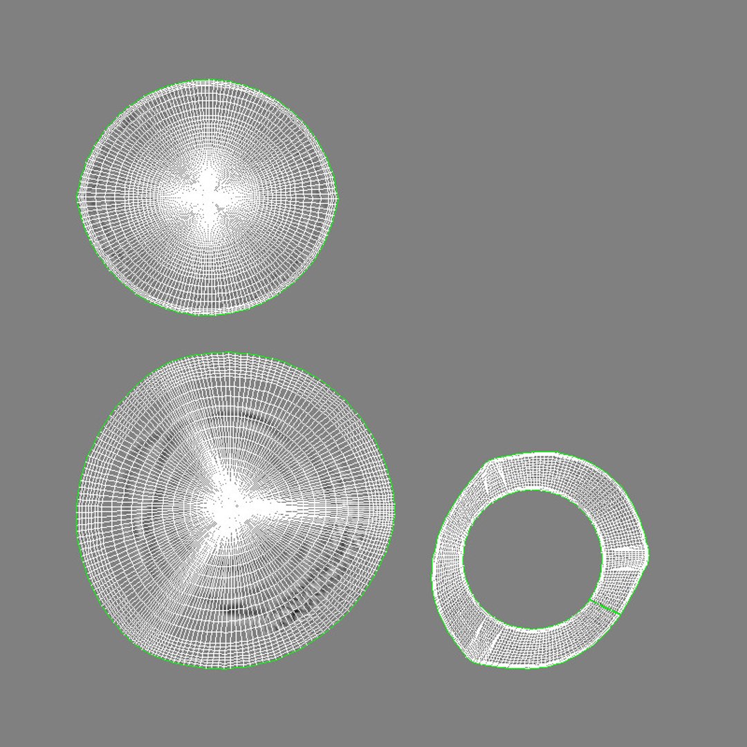 3d Model Coconut Cross Section