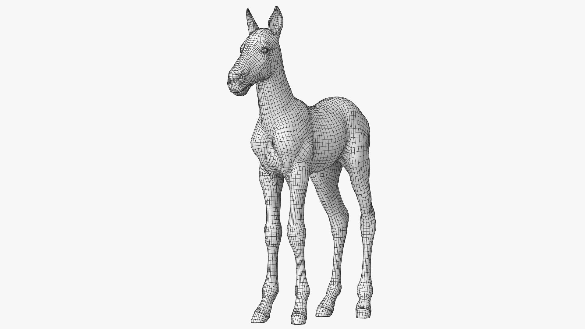 3D Realistic Horse Foal Model - TurboSquid 1596056