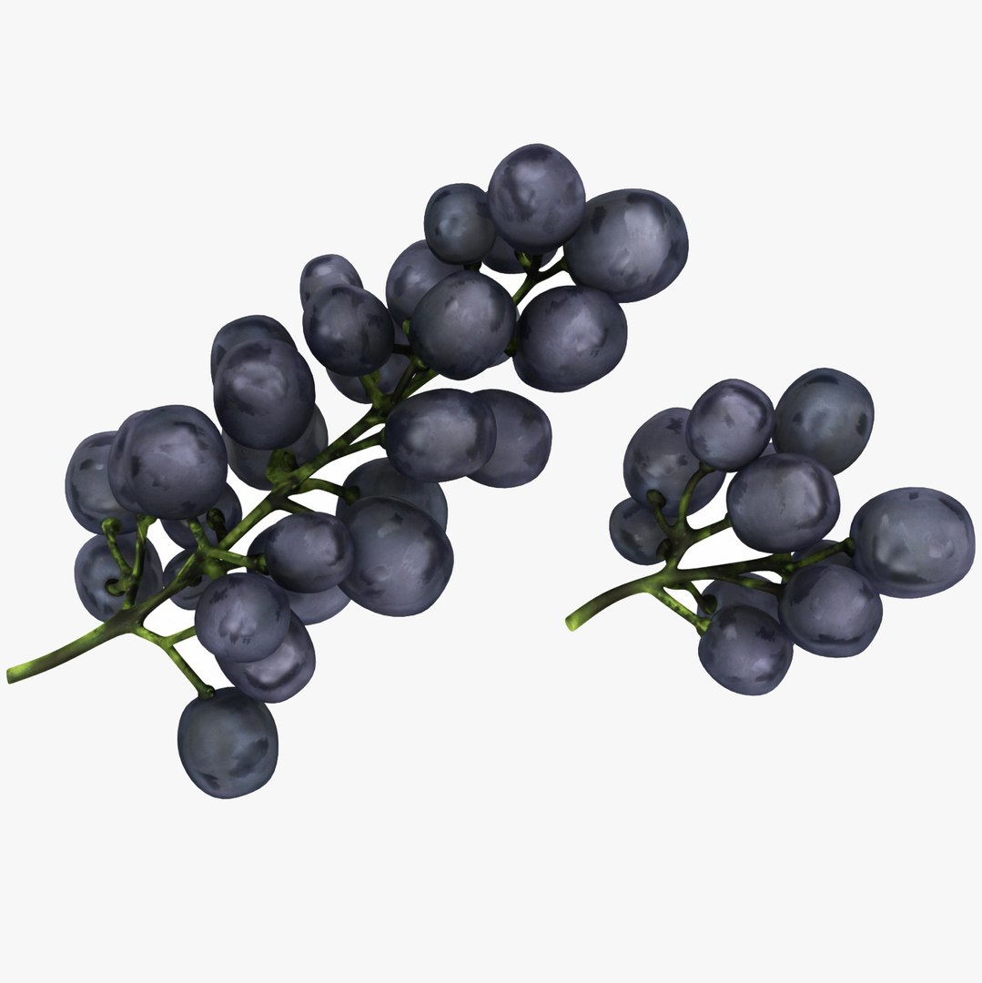 3D grapes black - TurboSquid 1542585
