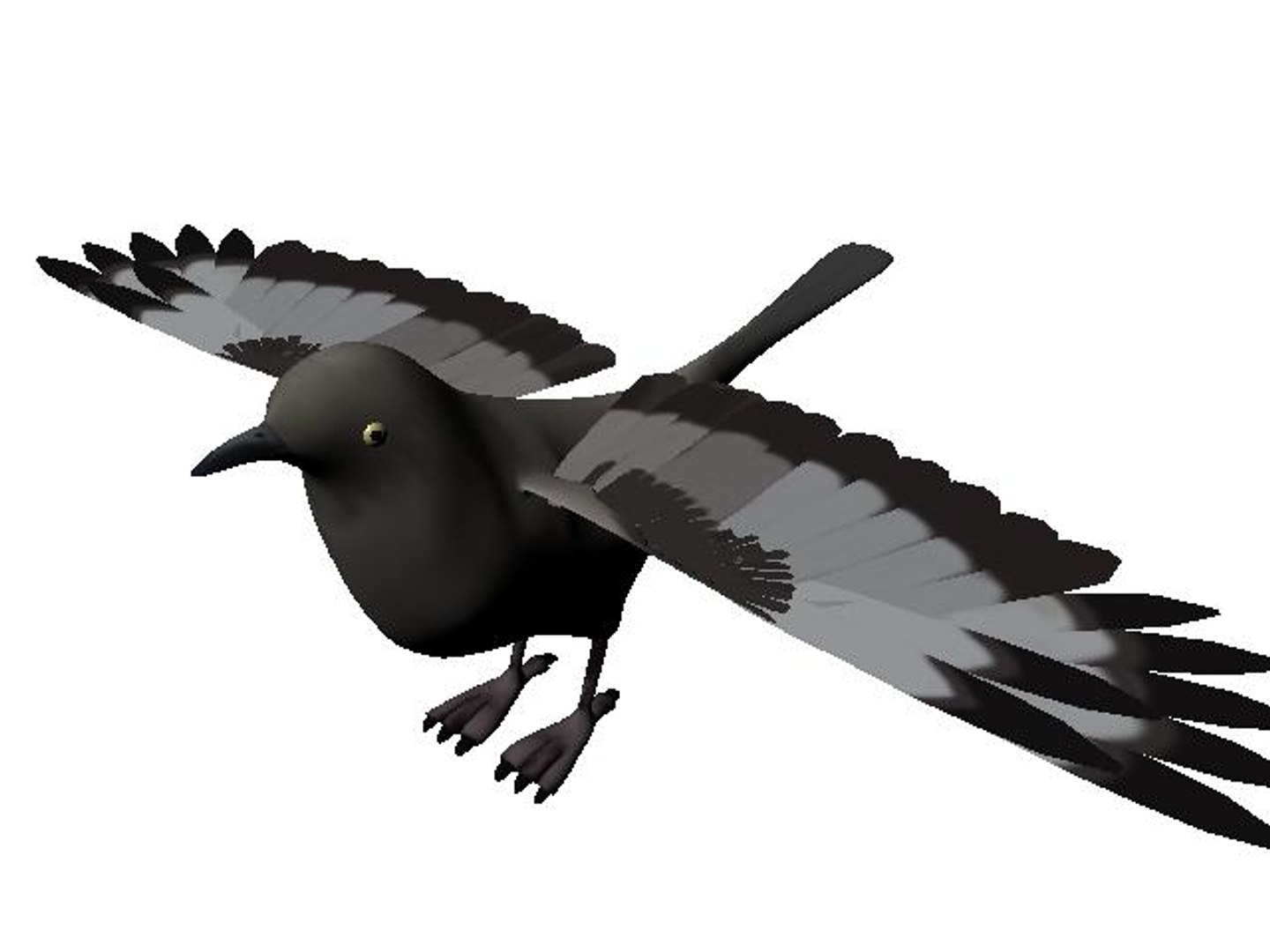 3d Model Crow Bird