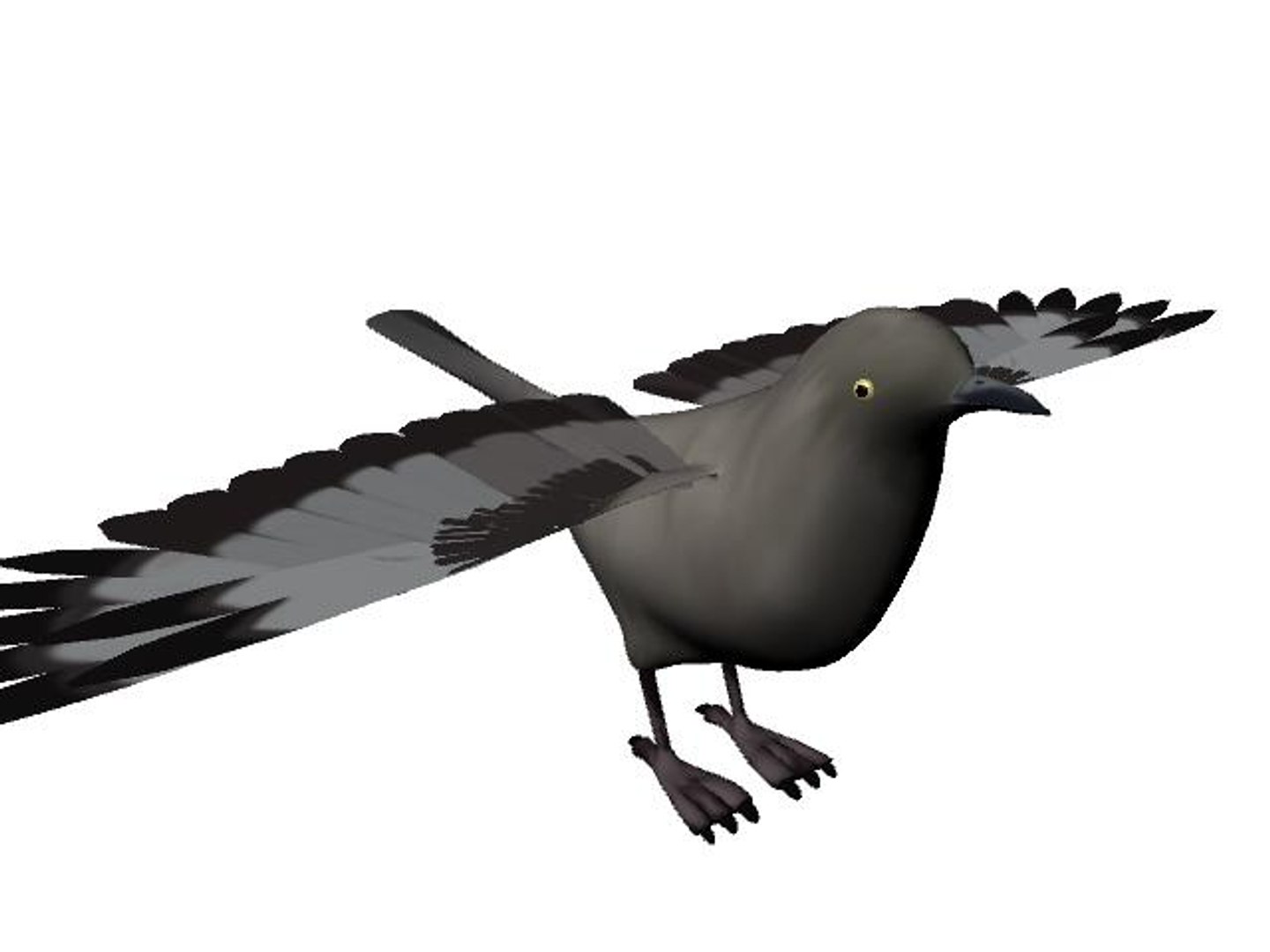 3d Model Crow Bird