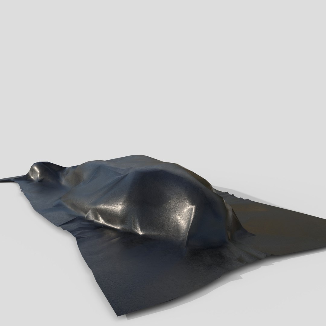 3D Dead Body Covered Model - TurboSquid 2344884