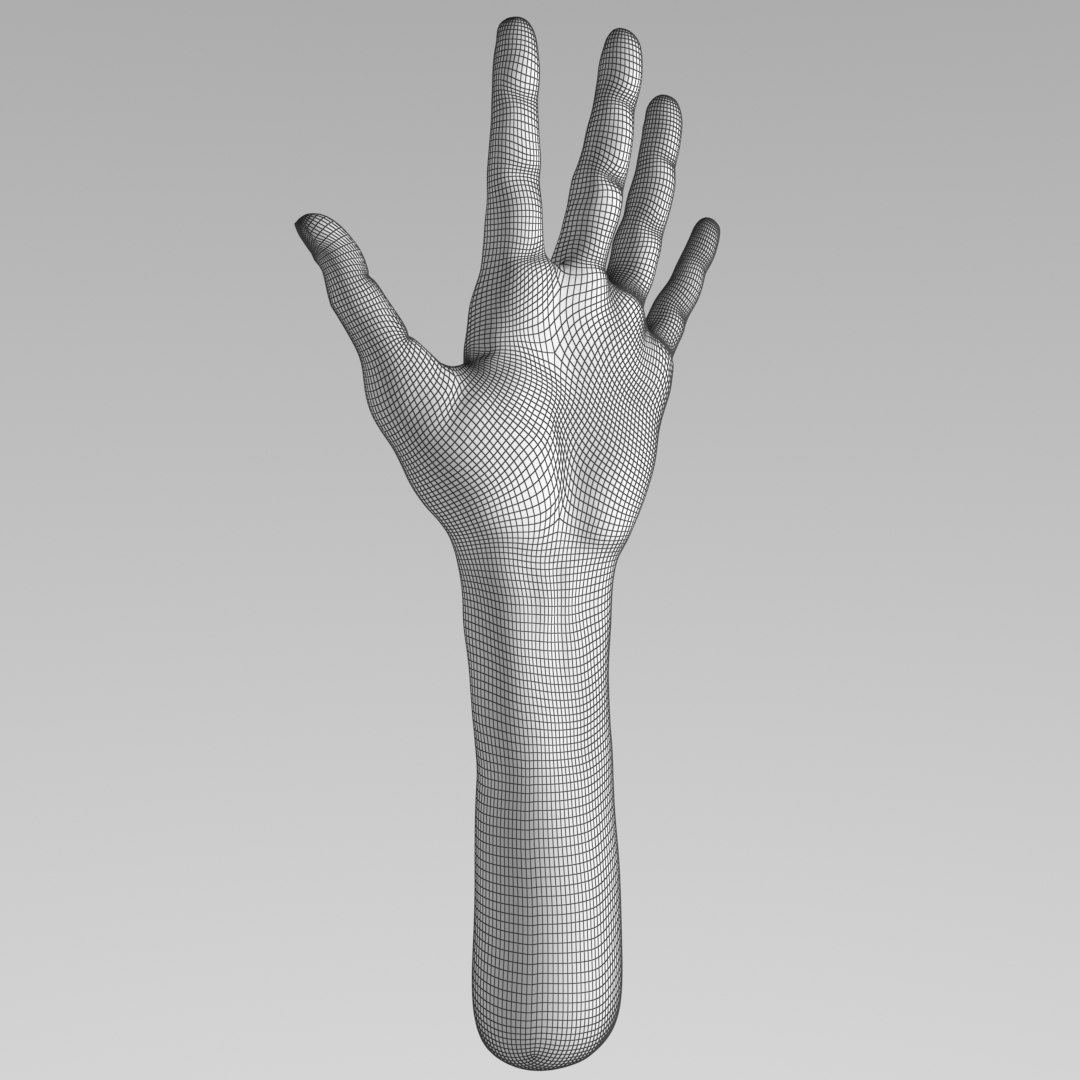Hand Modelled 3D Model - TurboSquid 1299552