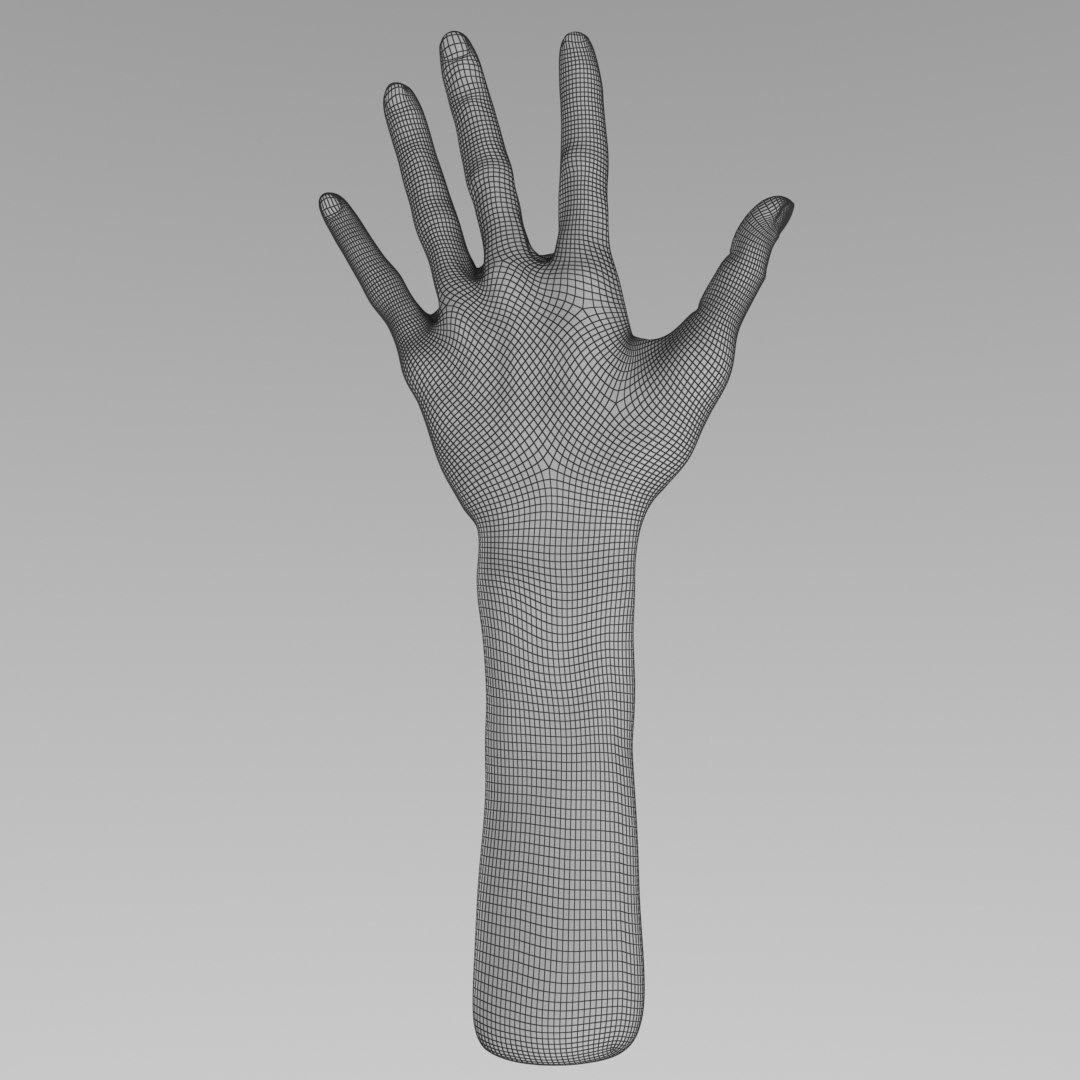 Hand Modelled 3D Model - TurboSquid 1299552