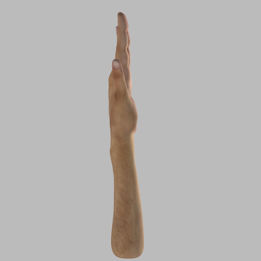 Hand Modelled 3D Model - TurboSquid 1299552